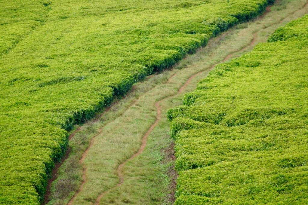 Äthiopien Sehenswürdigkeiten: Die 16 schönsten Highlights