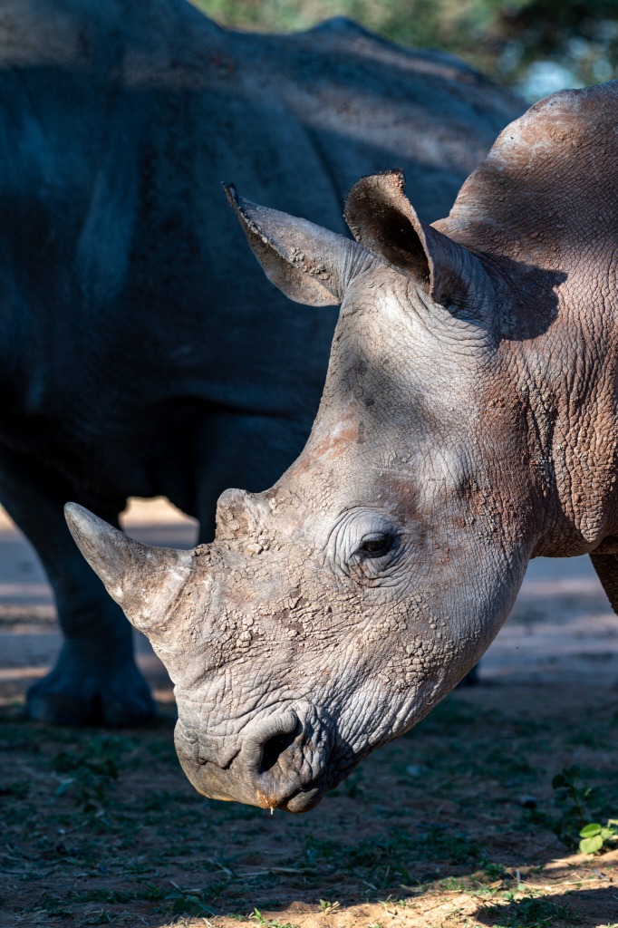 Namibia Sehenswürdigkeiten: Die 22 schönsten Highlights