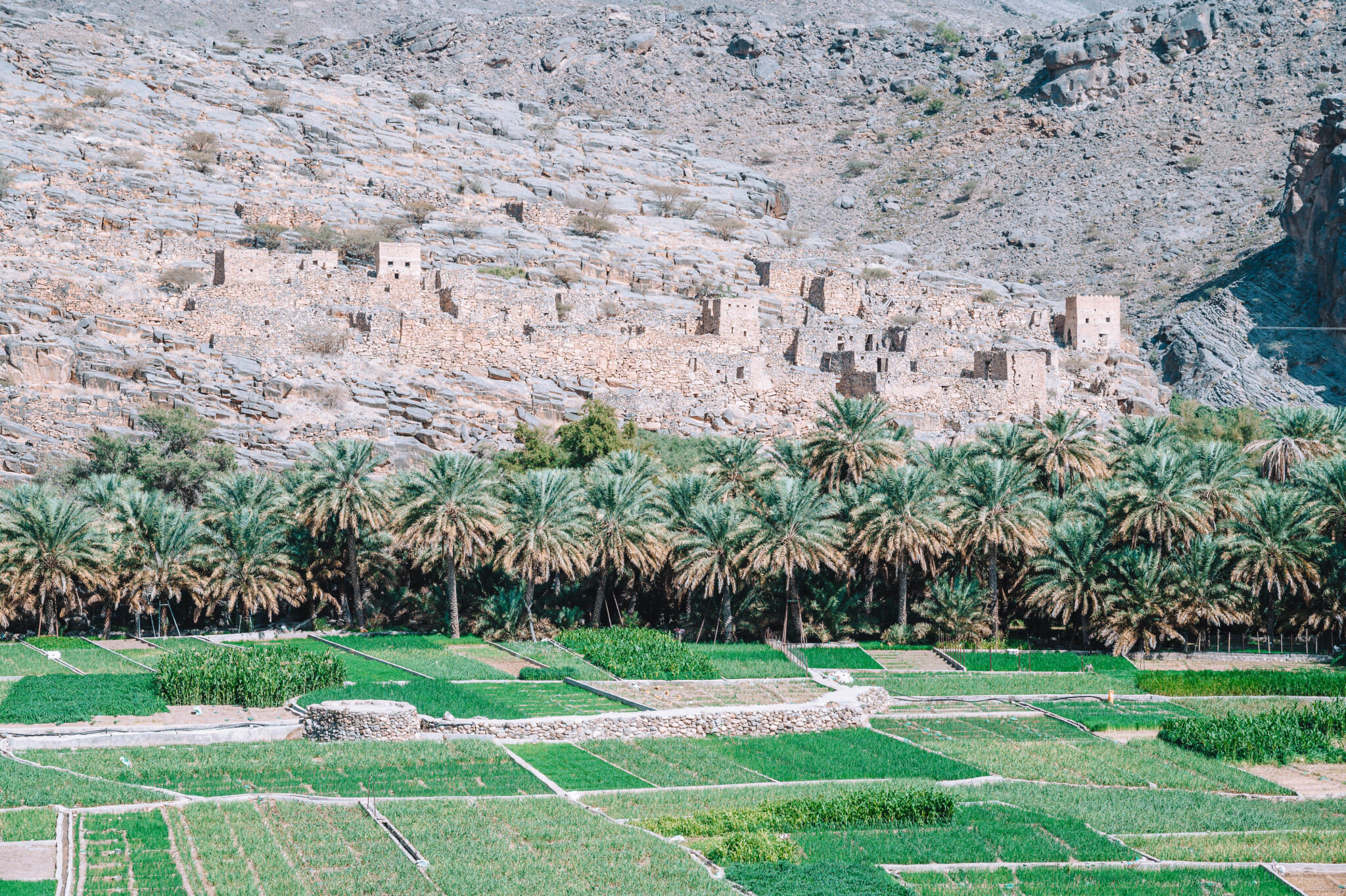 Einreise Oman: Infos zu Einreisebestimmungen & Visum