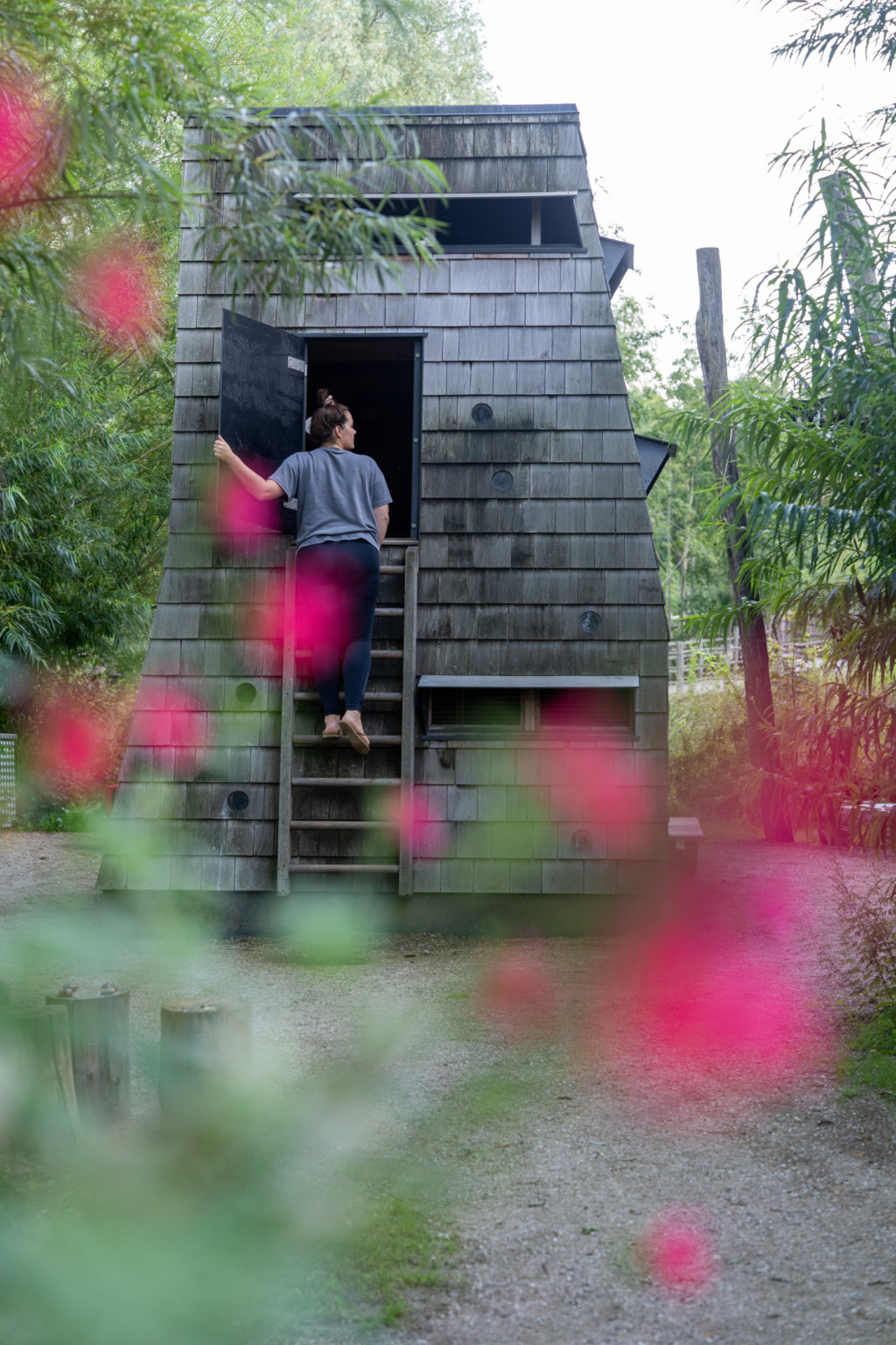 Odense Sehenswürdigkeiten: Die 16 schönsten Highlights