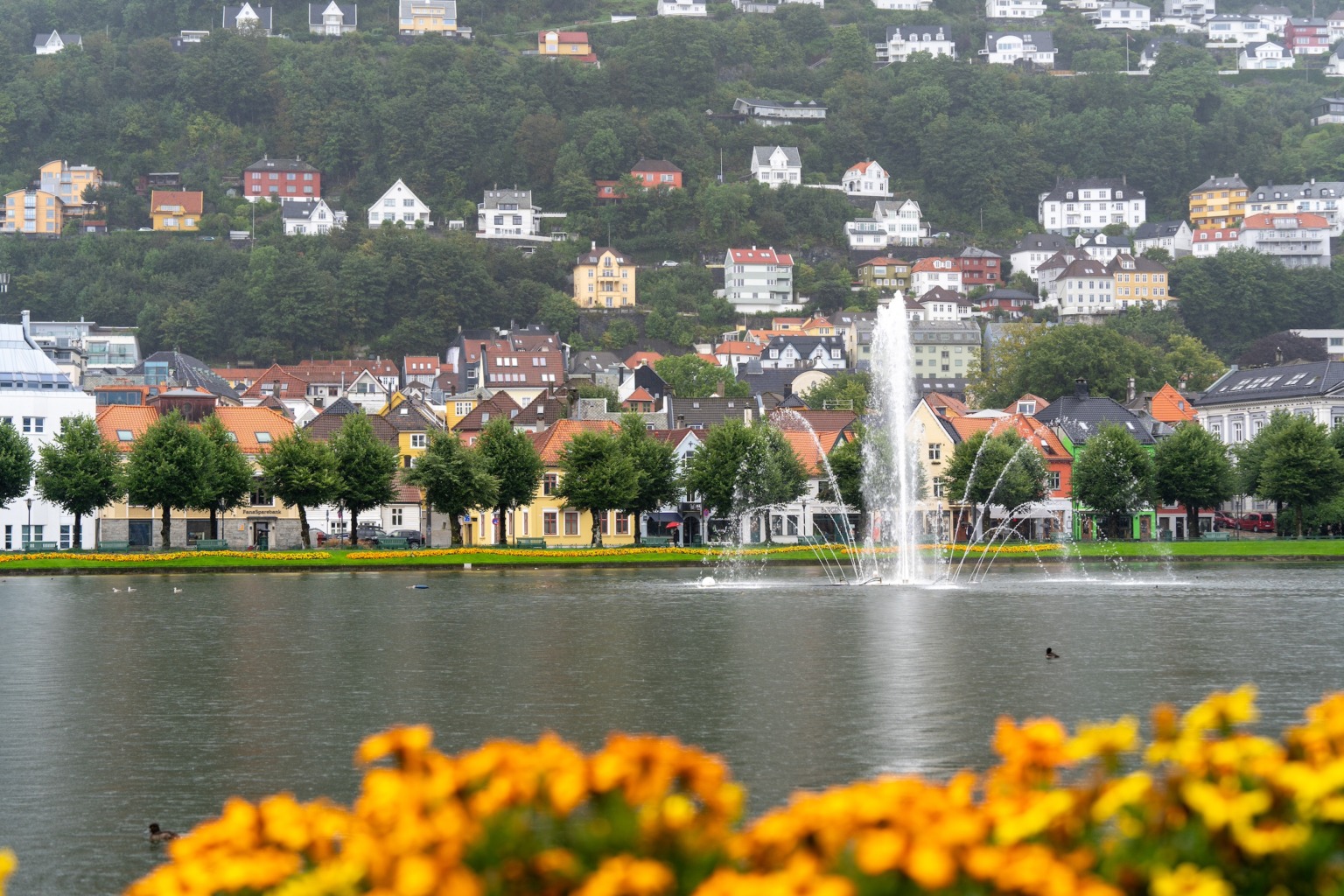 Bergen Sehenswürdigkeiten: Die 22 schönsten Highlights
