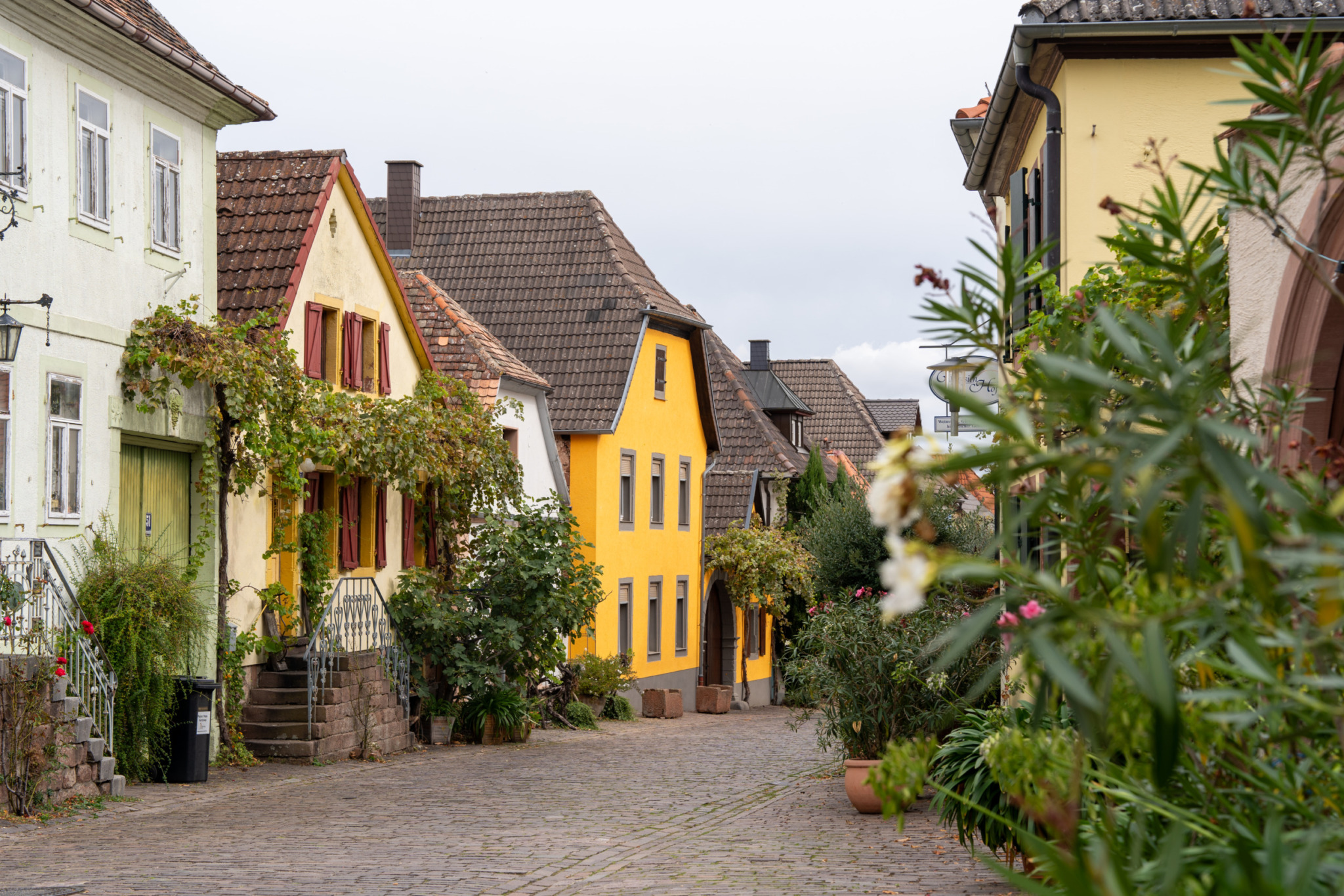 Südliche Weinstraße: Die 16 schönsten Highlights