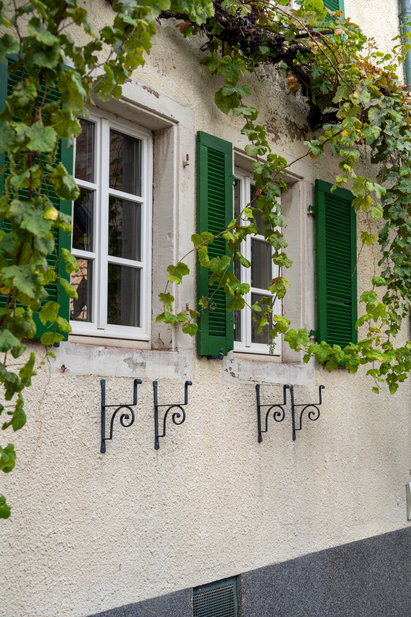 Südliche Weinstraße: Die 16 schönsten Highlights