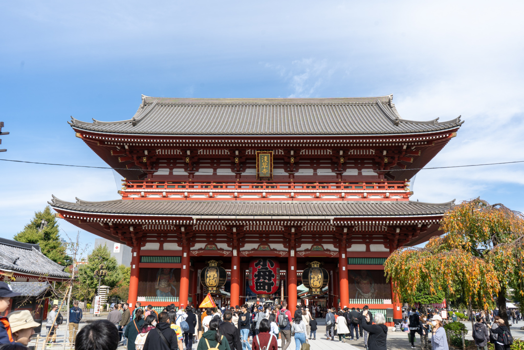 Tokio Sehenswürdigkeiten: Meine Tipps