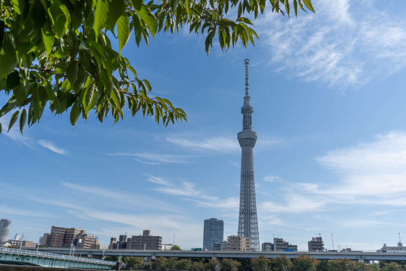 Japan Sehenswürdigkeiten: Meine Tipps