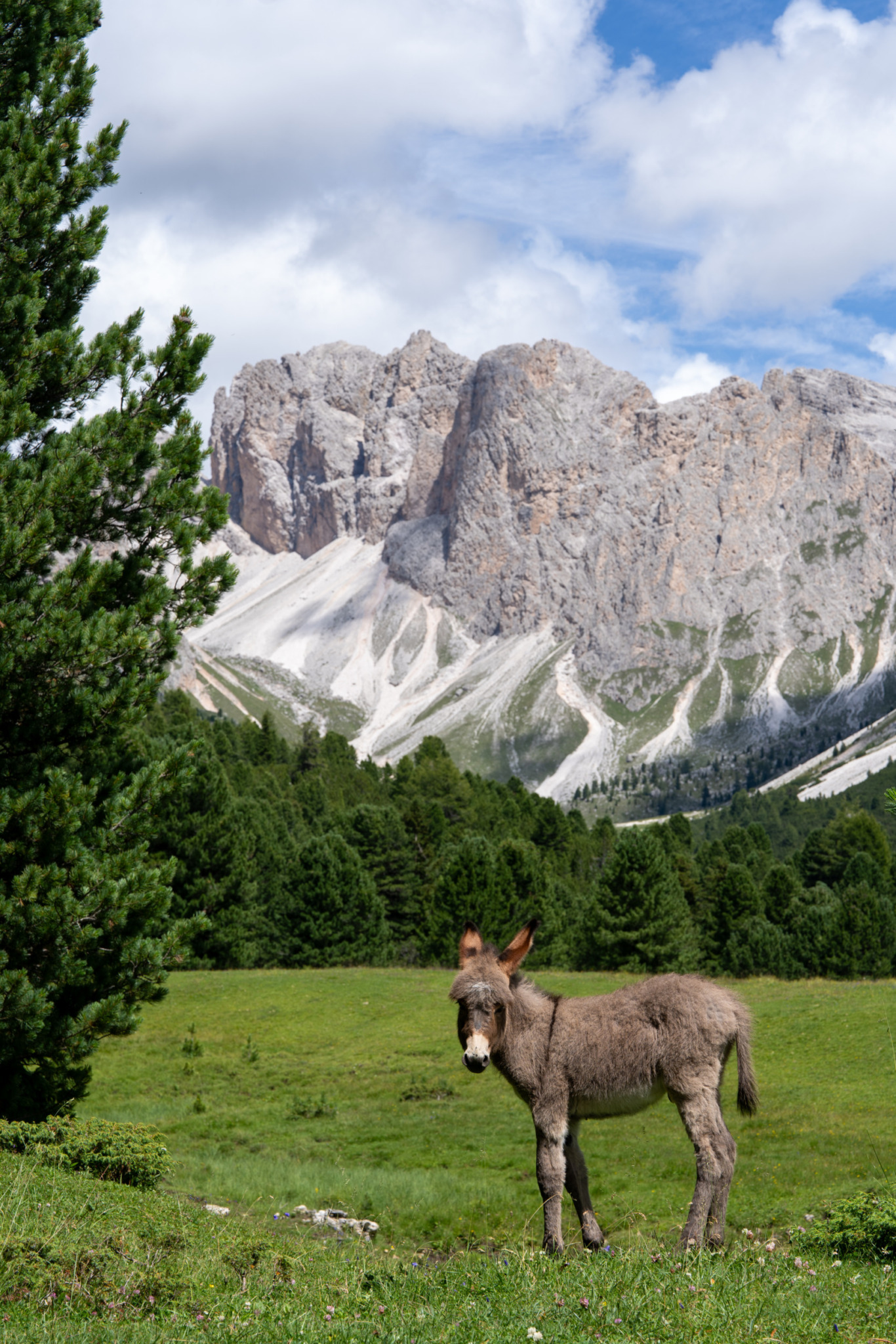 Seceda Wanderung: So gelingt euer Ausflug