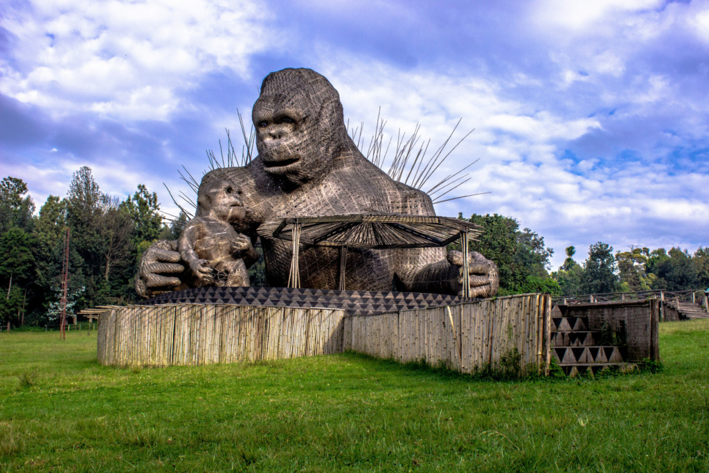 Volcanoes Nationalpark Ruanda: Unsere Tipps, Highlights & Preise