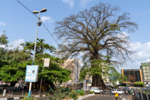 Freetown Sierra Leone: Die besten Highlights & Reisetipps